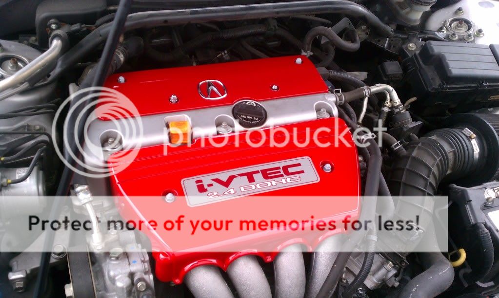 Post Your Engine Bay Pics! | Page 14 | Acura TSX Forum